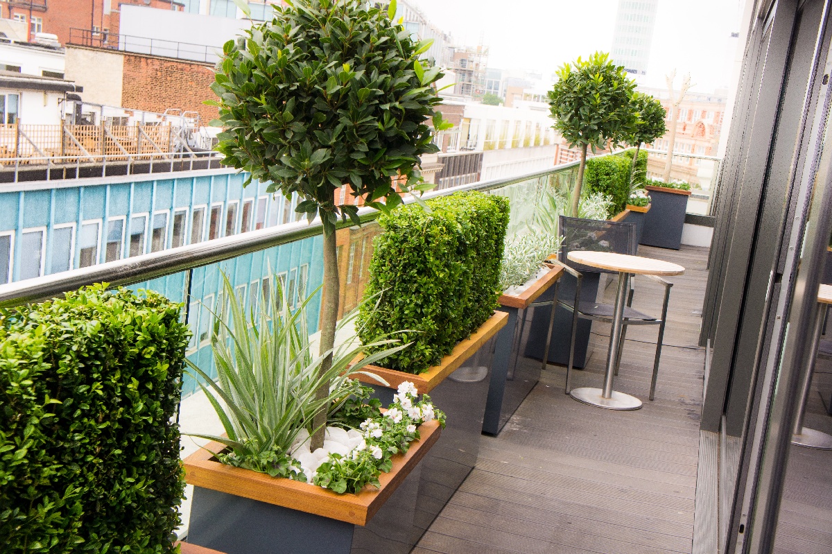 Roof Terrace Design | Roof terrace planters | Outdoor Planters ...