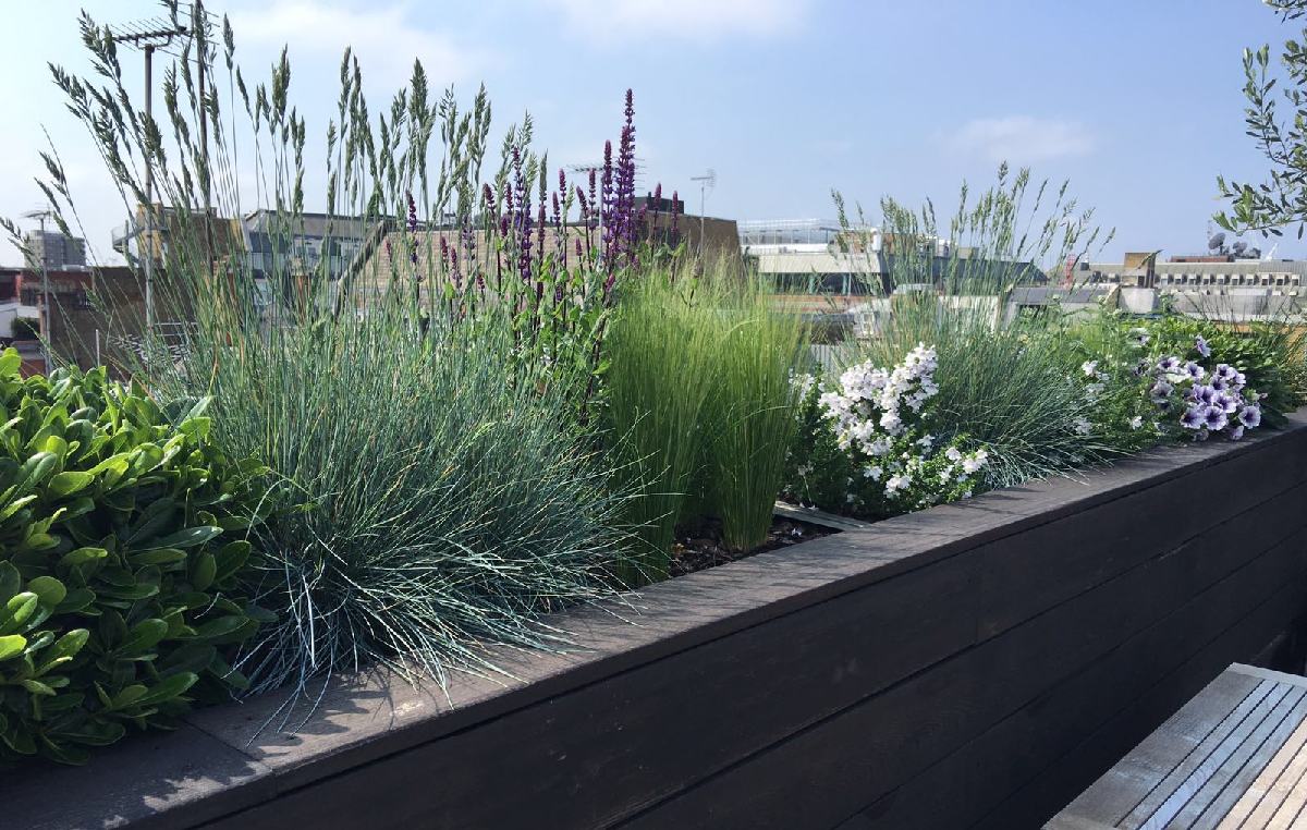 Roof Terrace Design | Roof terrace planters | Outdoor Planters ...