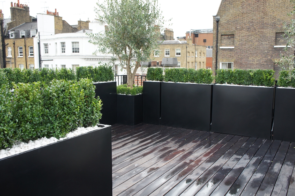 Roof Terrace Design | Roof terrace planters | Outdoor Planters ...