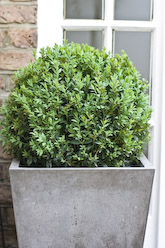 Patio planters | Outdoor Planters | Designer planters | Luxury planters ...
