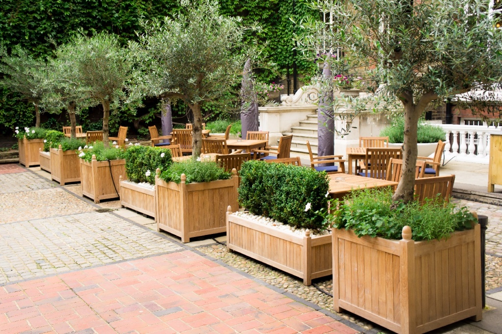Bespoke hardwood planters Olive trees – London Planters