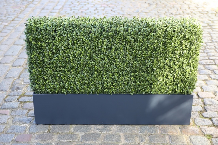 Plywood WB Grey Artificial Hedge H40cm – London Planters