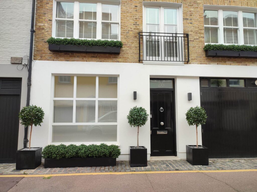 Artificial Bay Tree 180cm high 45-50cm head diameter with Lavender in ...